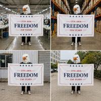China Patriotic 250th Anniversary Freedom Flag & Realistic Bald Eagle Mask Set for Party Cosplay for sale