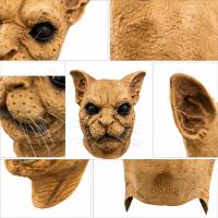 China Realistic Cat Full-Face Latex Mask with Whiskers, Detailed Textures, and Lifelike Features for Halloween, Cosplay, Costume Parties, and Themed Events for sale