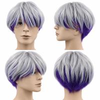 China Silver Purple Ombre Short Spiky Cosplay Wig, Layered Messy Straight Anime Costume Wig for Men Women, Synthetic Heat Resistant Wig with Bangs, Ideal for Halloween Party for sale