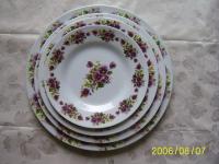 China Colorful Parrot Pattern Melamine Picnic Plates Odor Free MP-005 melamine dinner set for sale