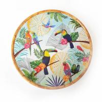 China Colorful Parrot Pattern Melamine Picnic Plates Odor Free melamine dinnerware sets for sale
