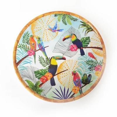 China Colorful Parrot Pattern Melamine Picnic Plates Odor Free melamine dinnerware sets for sale