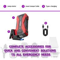 China Portable Jump Starter with 8000mAh Power Bank 500A Peak Current and Multi-Function Charging for Emergency Car Battery Boosting for sale
