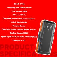 China Smart 12V Multi Functional Jump Starter with 1000A Peak Power, Type-C Fast Charging & Battery Charging Mode for sale
