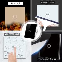 China 86 Type French Standard Touch Light Switch with No Neutral Wire Required 300W Maximum Load and Tempered Glass Panel for sale