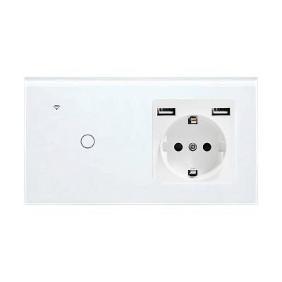 China Smart Switch and Socket with Voice Control USB Type-C Output for Round Mounting Box for sale