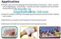 China injection ice bag, ice bag fresh, cool packs, cool bag packs, cool pack bags, Medicine storage fresh ice bag/ice pack ho for sale