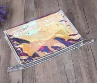 China Slider Zipper Swimwear Bag A3 A4 A5 Cosmetic Travel bag with button, storage promotional gift , leisure, toiletry for sale