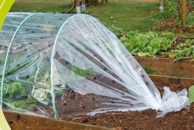 China AGRICULTURAL PLASTIC, pe film, horticultural mulch film, garden perforated ground film Transparent, Black, Silver/Black, for sale