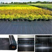 China Water management weeb control pavement preservation courtyard beautify anti insect anti mold seedbed protection vegetati for sale