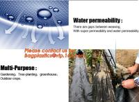 China Agricultural plastic ground cover weed mat, pp weed control mat, for greenhouse and outer use,ground cover, weed mat, ma for sale