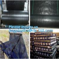 China Weed control plastic mat, Grow black plastic weed control mat, Garden plastic ground cover mesh,Ground Cover Type Agricu for sale