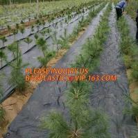 China environmental biodegradable pp woven weed control mat, heavy dury pe tarpaulin,Woven Weed Barrier/Weed Control Fabric for sale