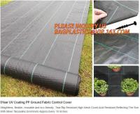 China Application Wide Range mulching film for agriculture pp woven weed barrier for Strawberry,Weed Barrier Fabric,PP woven w for sale