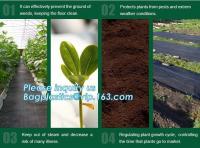 China best quality agricultural weed barrie,UV stable Polypropylene woven fabric weed barrier,maintenance free anti weed mat, for sale