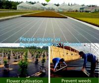 China prevent insects,tree planting,agriculture protection Plastic weed barrier,weed matt Bio-degradable Agricultural PP Weed for sale