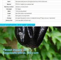 China Anti-UV Landscape Fabric PP Woven Agricultural Weed Control,PP Woven Landscape Fabric Garden Weed Barrier Mat, bagplasti for sale