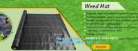 China green color Plastic Ground Cover Mats mulch weed control fabric mat,Weed Barrier Around Fruit Trees PP Woven Weed Mat fo for sale