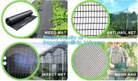 China green color Plastic Ground Cover Mats mulch weed control fabric mat,Weed Barrier Around Fruit Trees PP Woven Weed Mat fo for sale
