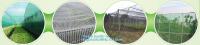 China Anti Insect Net For Vegetable Supplier In China,Greenhouse Insect Net /garden netting for ventilation proof, bagease, pa for sale