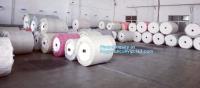 China China factory directly supply pp woven fabric roll / woven polypropylene fabric in roll,eco-friendly bag raw material wh for sale