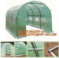 China Economic Small Windscreen Green Garden House,vegetable greenhouse hoop green house,small Garden Greenhouse for Indoor pl for sale