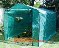 China polycarbonate plastic sheet agricultural mini garden green house,plastic walk in dome garden green house, SUPPLIES, PAC for sale