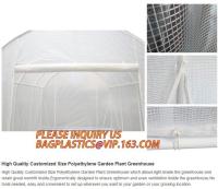 China Easy install greenhouse tomato single-span Plastic Film Green House,Low cost garden green houses for plating, PACKAGES for sale