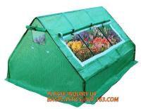 China Polycarbonate strong garden greenhouse double-door green house,NEW WALK IN GREENHOUSE GARDENING SEEDS PROPOGATING 143cm* for sale