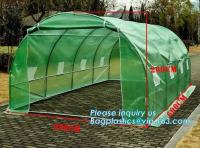 China hot selling indoor growing vegetable green house grow tent for sale,150/200 Micron Plastic Film Agricultural Multi Span for sale