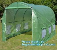 China Excellent Material Agriculture Greenhouse/Low Cost Green House,High quality outdoor garden mini portable green house for sale