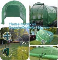 China Strawberry Planting Green House,200 micron UV plastic film for agriculture green house,High safety greenhouse for plants for sale