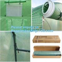 China Strawberry Planting Green House,200 micron UV plastic film for agriculture green house,High safety greenhouse for plants for sale
