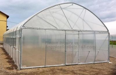 China Garden Walk In 4 Shelves& Reinforced PE Cover green houses,Agriculture Farm Commercial Plastic PE Film Multi Spans Green for sale