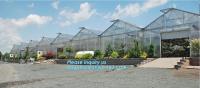 China high quality tunnel single span galvanized arch green houses,Plant Large Walk in Greenhouse with Clear Cover for garden for sale