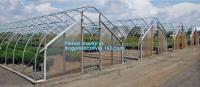 China Garden tomato green house greenhouse film 3 layer eva agriculture clear plastic protective 90% transmission green house, for sale