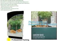 China garden plant/ patato/vegetable grow bags,2gallon hotsales fabric pots grow bags for plant flower grow bag plant potato o for sale