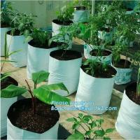 China 15 GALLON Hole Plastic LDPE Grow Bags For Nursery, Black & White PE Grow Bags for Hydroponic and Horticulture use, BAGEA for sale