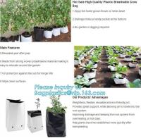 China Drain Growing Bags-White Color Grow Bags-100%Virgin Raw PE Planter Bags -25Gallon 150Microns Thickness Planting Bag, PAC for sale
