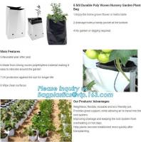 China Drain Growing Bags-White Color Grow Bags-100%Virgin Raw PE Planter Bags -25Gallon 150Microns Thickness Planting Bag, PAC for sale