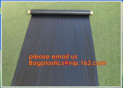 China Silver Black Perforated Plastic Mulch Film with Punch Hole,biodegradable perforated plastic mulch film,Perforated plasti for sale