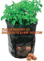 China Smart Grow Bags For Potato/Plant Container/Aeration Fabric Pots With Handles Fabric Plants Pots with Handles, Indoor for sale