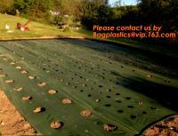 China Garden Agricultural Weed Mat,Plastic Ground Cover, Weed Control Mat, pp woven grass mat, black woven pp fabric for sale