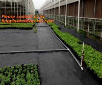 China Garden Agricultural Weed Mat,Plastic Ground Cover, Weed Control Mat, pp woven grass mat, black woven pp fabric for sale