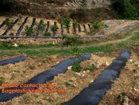 China weed barrier for agriculture, weed killer fabric, agricultural anti weed mat, dust control weed mat agricultural mulch for sale