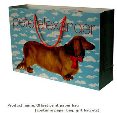 China white kraft paper shopping bags with paper string handles, Luxury custom printed gift packaging kraft paper shopping bag for sale