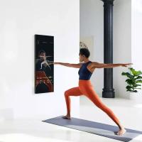 China HONGNUO 55-Inch Smart Fitness Mirror with 500 Nits Brightness and 1920×1080 Full HD Display for sale