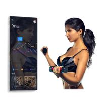 China HONGNUO 43 Inch WIFI Smart Fitness Mirror with 1080p Display, Quad-Core Processor for Home Gym Exercise for sale