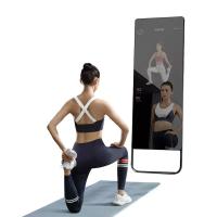 China HONGNUO 43 Inch WIFI Smart Fitness Mirror with 1080p Display, Quad-Core Processor for Home Gym Exercise for sale
