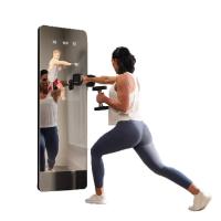 China 49 Inch Wall Mounted Smart Fitness Mirror with 500cd/m² Brightness and 10-Point Touch Screen for sale